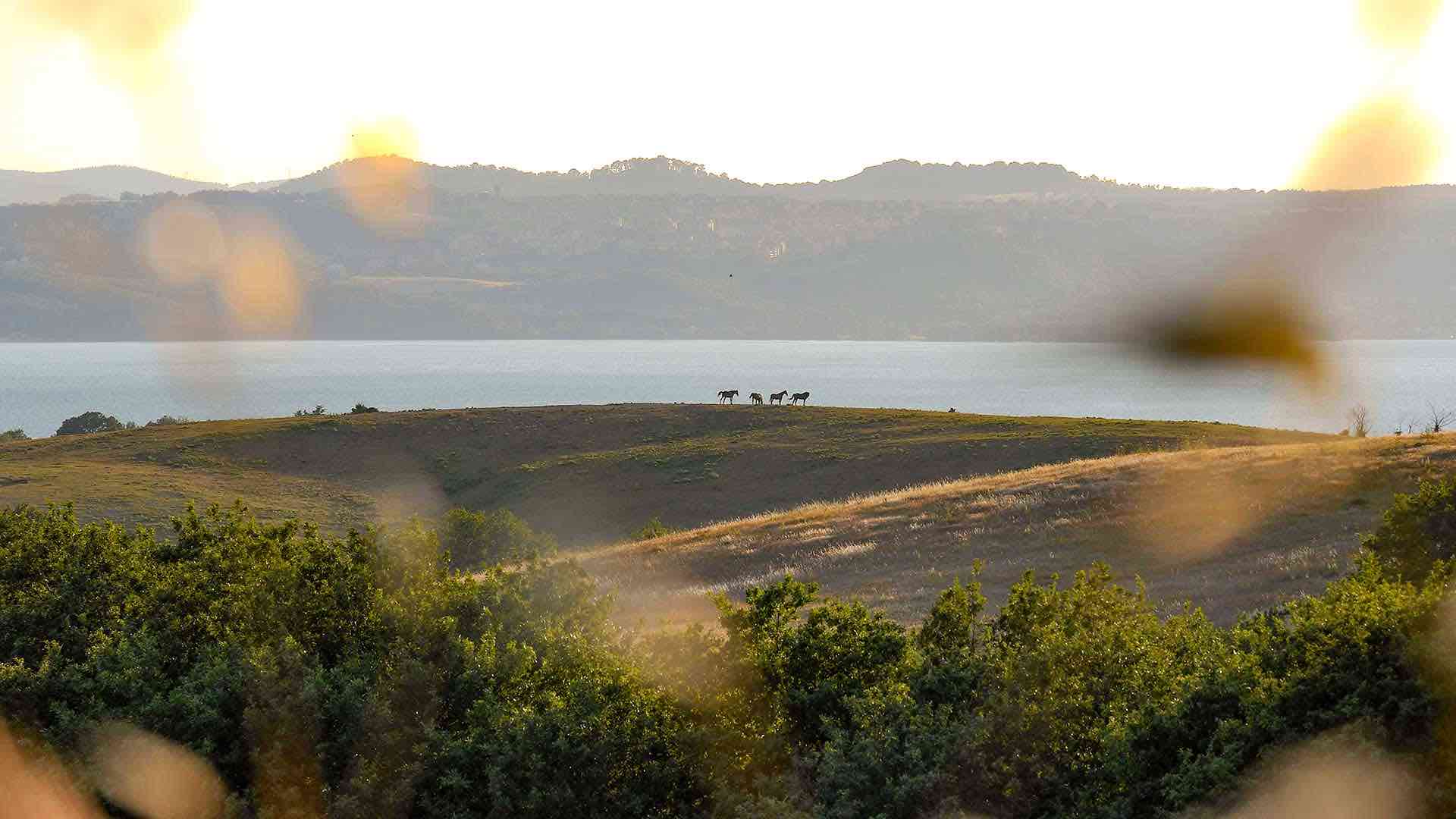 Local guide to the 10 most beautiful lakes near Rome, Italy